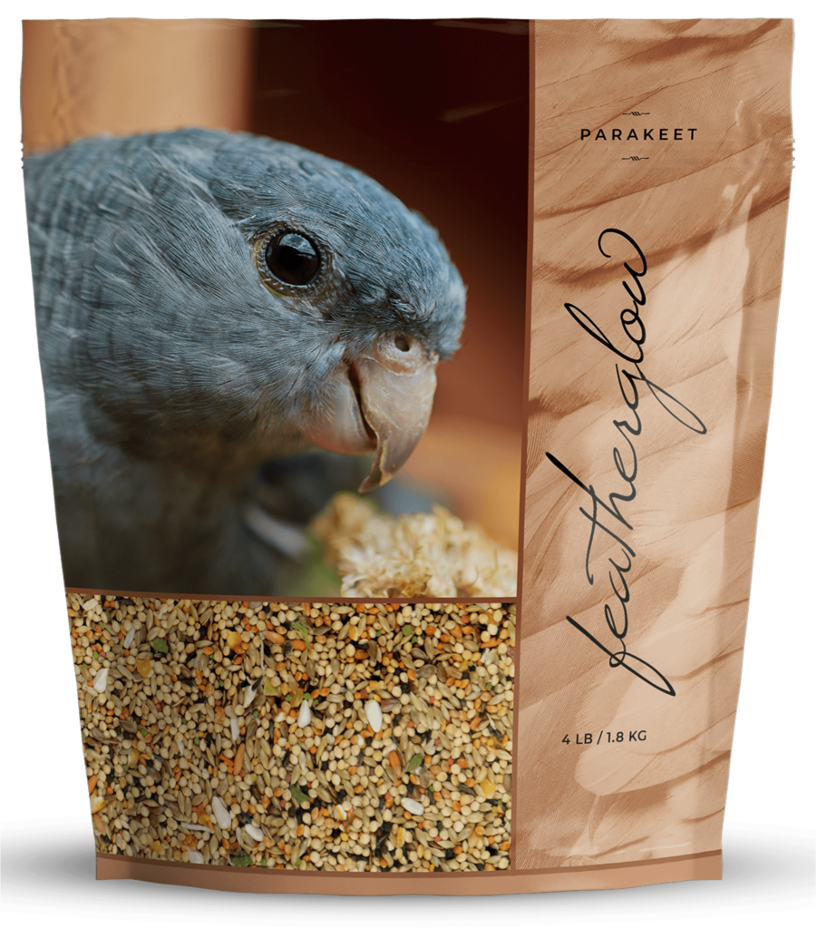 Featherglow – birdseed.com